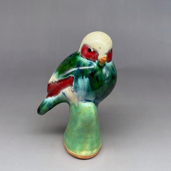 Home | wolfebirds.com