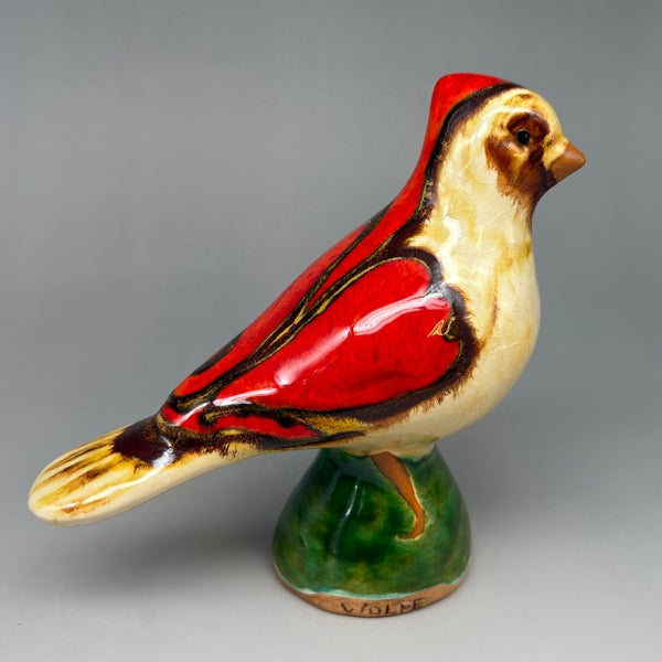 wolfebirds.com