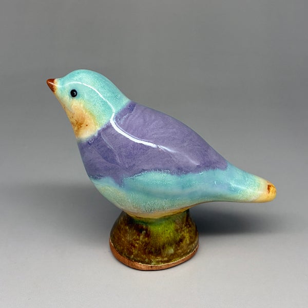 Home | wolfebirds.com