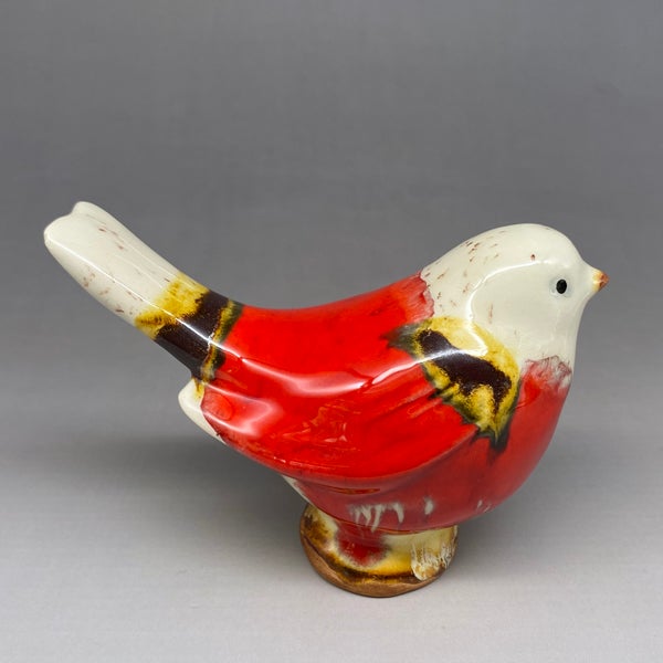Home | wolfebirds.com