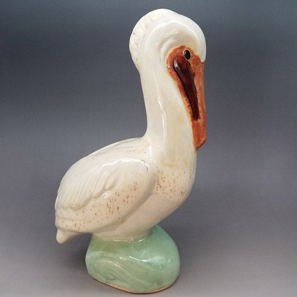 Small Pelican in Peaceful | wolfebirds.com